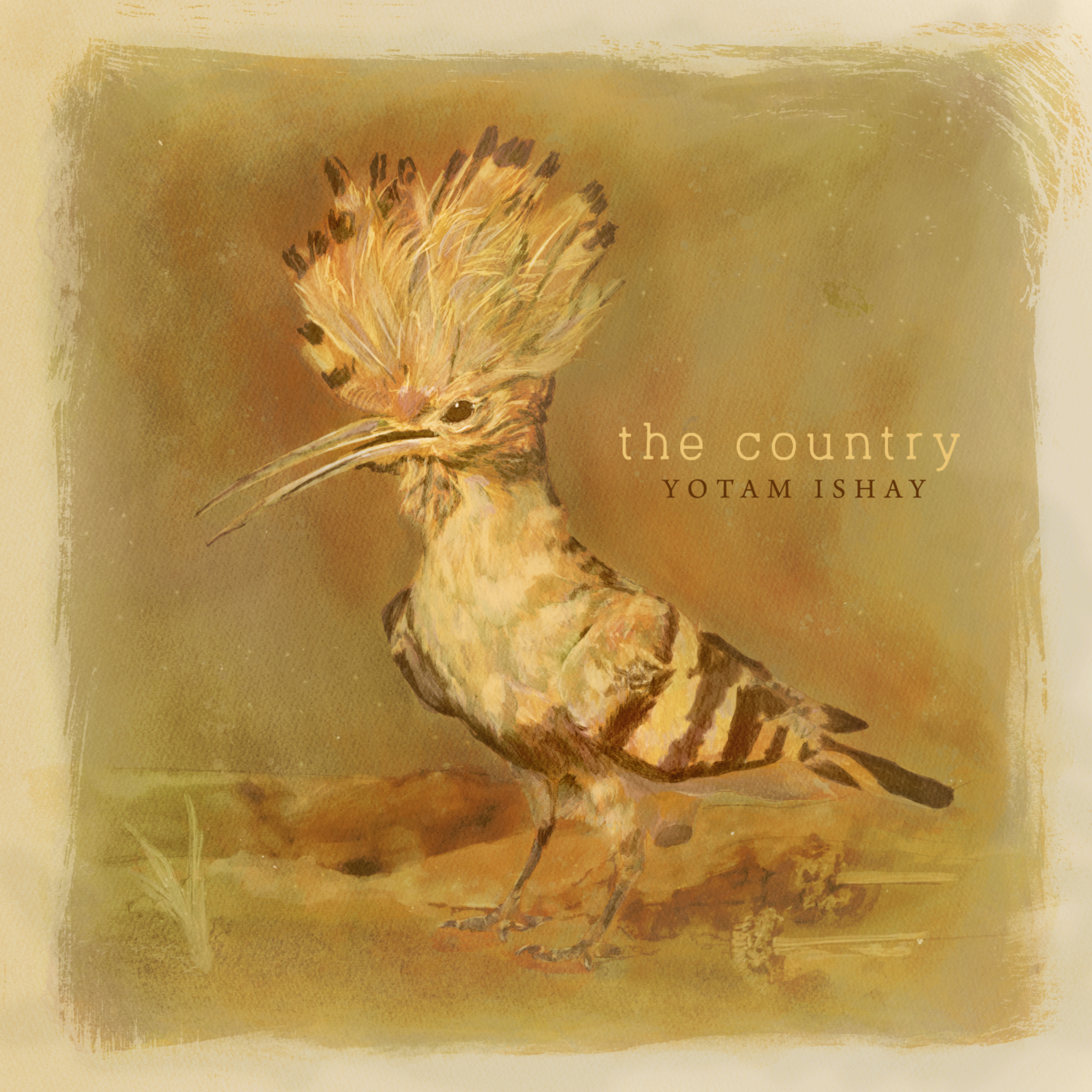 The Country - JAZZIZ Discovery