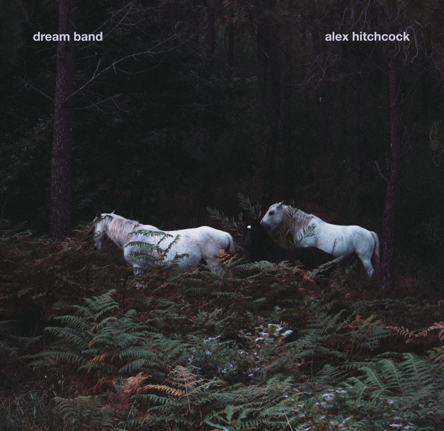 Dream Band - JAZZIZ Discovery