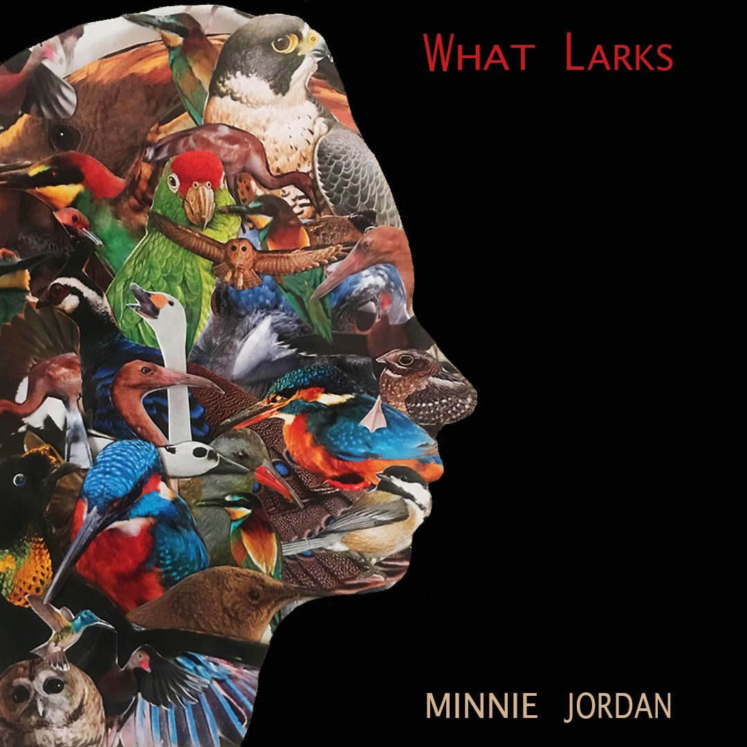 What Larks - JAZZIZ Discovery