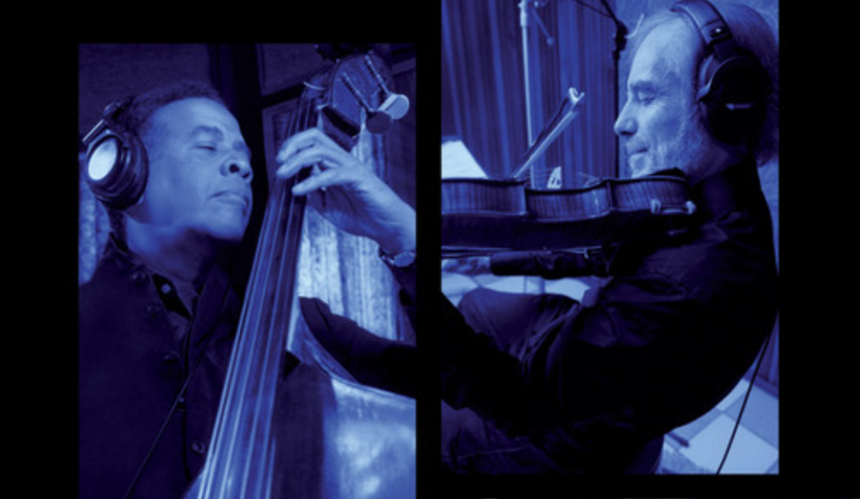 Auditions Roundup: The Strength of Strings - JAZZIZ Discovery